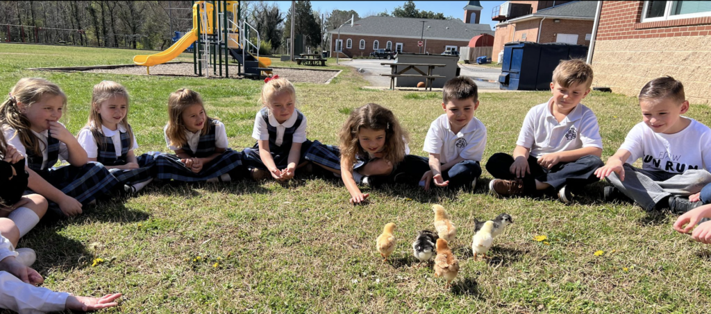 Father Andrew White, S.J. School – "Learning Today, Leading Tomorrow ...